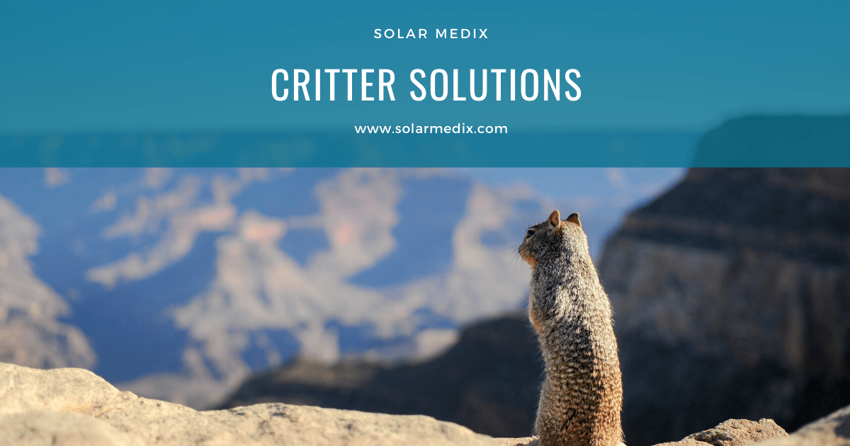 Critter Solutions in New Jersey & New York | Solar Medix